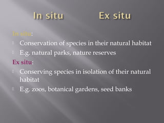 In situ and ex situ conservation | PPT