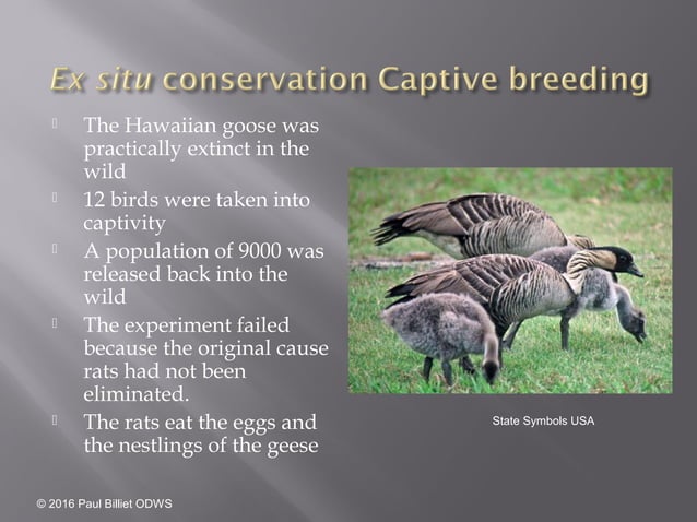 In situ and ex situ conservation | PPT