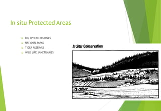 in situ and ex situ conservation.pptx
