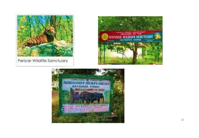 in situ and ex situ conservation.pptx | Environment | Science