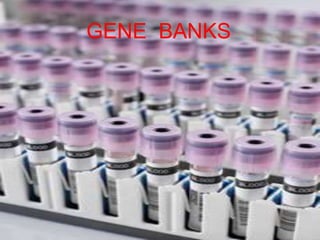 Conservation Biodiversity | PPT