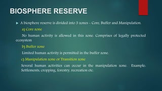 Biodiversity | PPTX