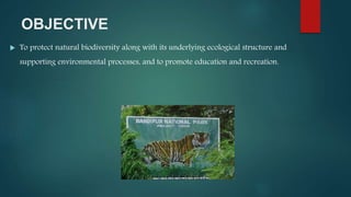 Biodiversity | PPTX