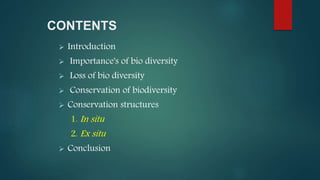 Biodiversity | PPTX
