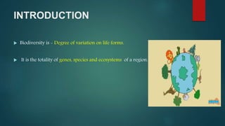 Biodiversity | PPTX