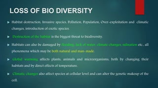 Biodiversity | PPTX