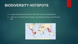 Biodiversity | PPTX
