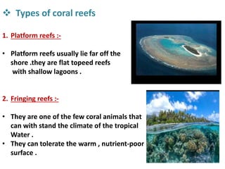 In situ conservation protected areas | PPTX