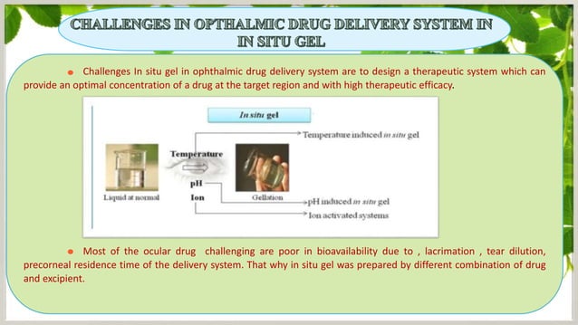 Design and development of insitu gel of opthalmic drug delivery system | PPTX | Eye and Vision ...