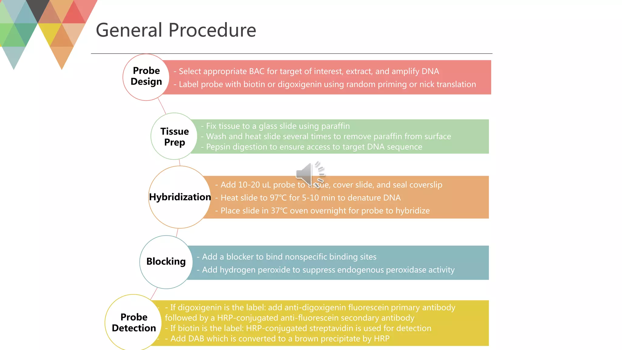 In situ hybridization | PPTX