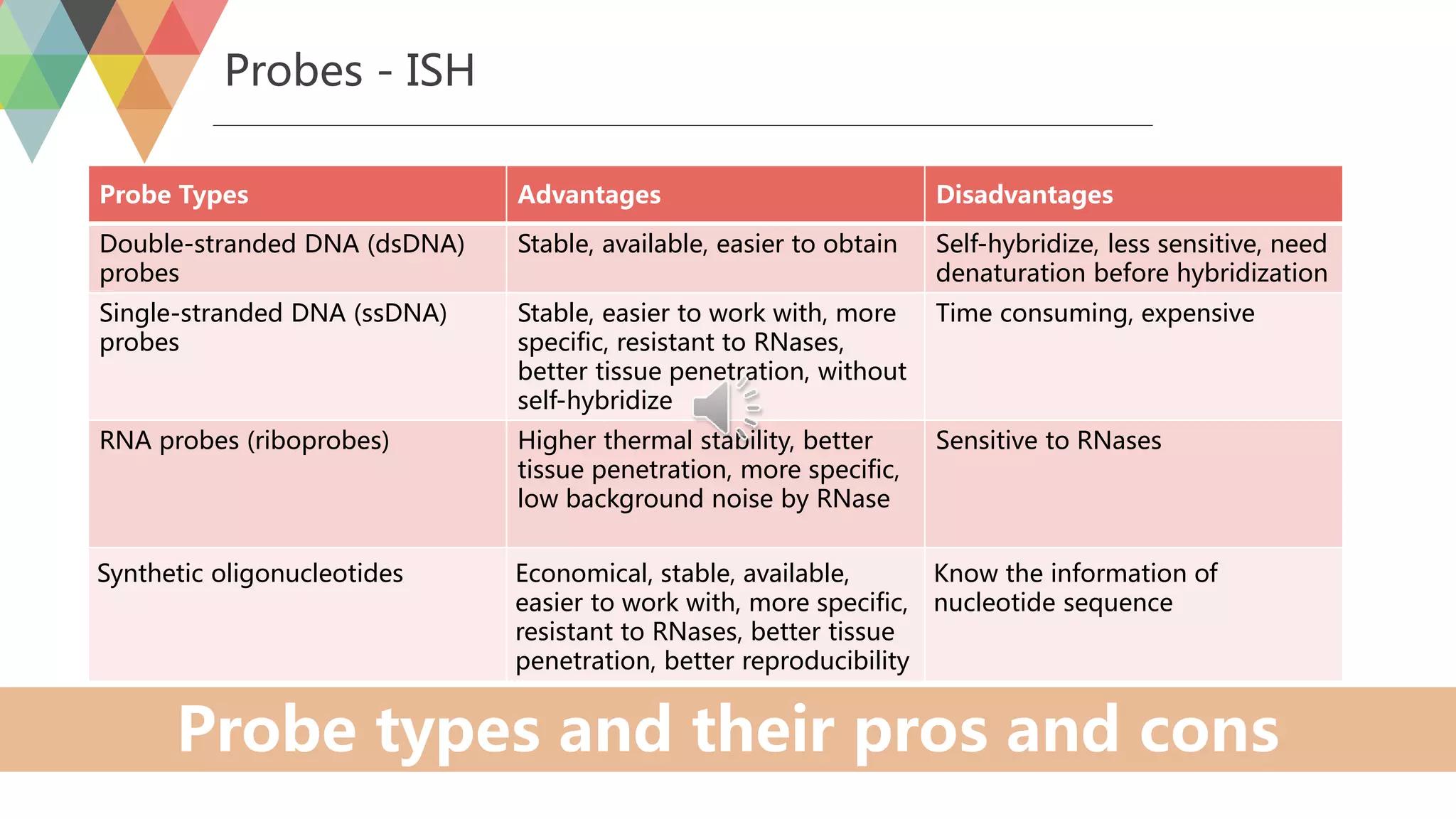 In situ hybridization | PPTX