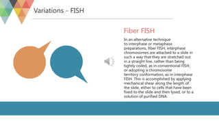 In situ hybridization | PPTX