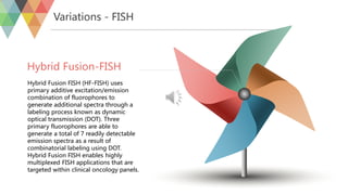 In situ hybridization | PPTX