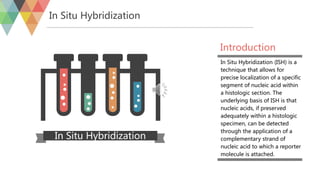 In situ hybridization | PPTX