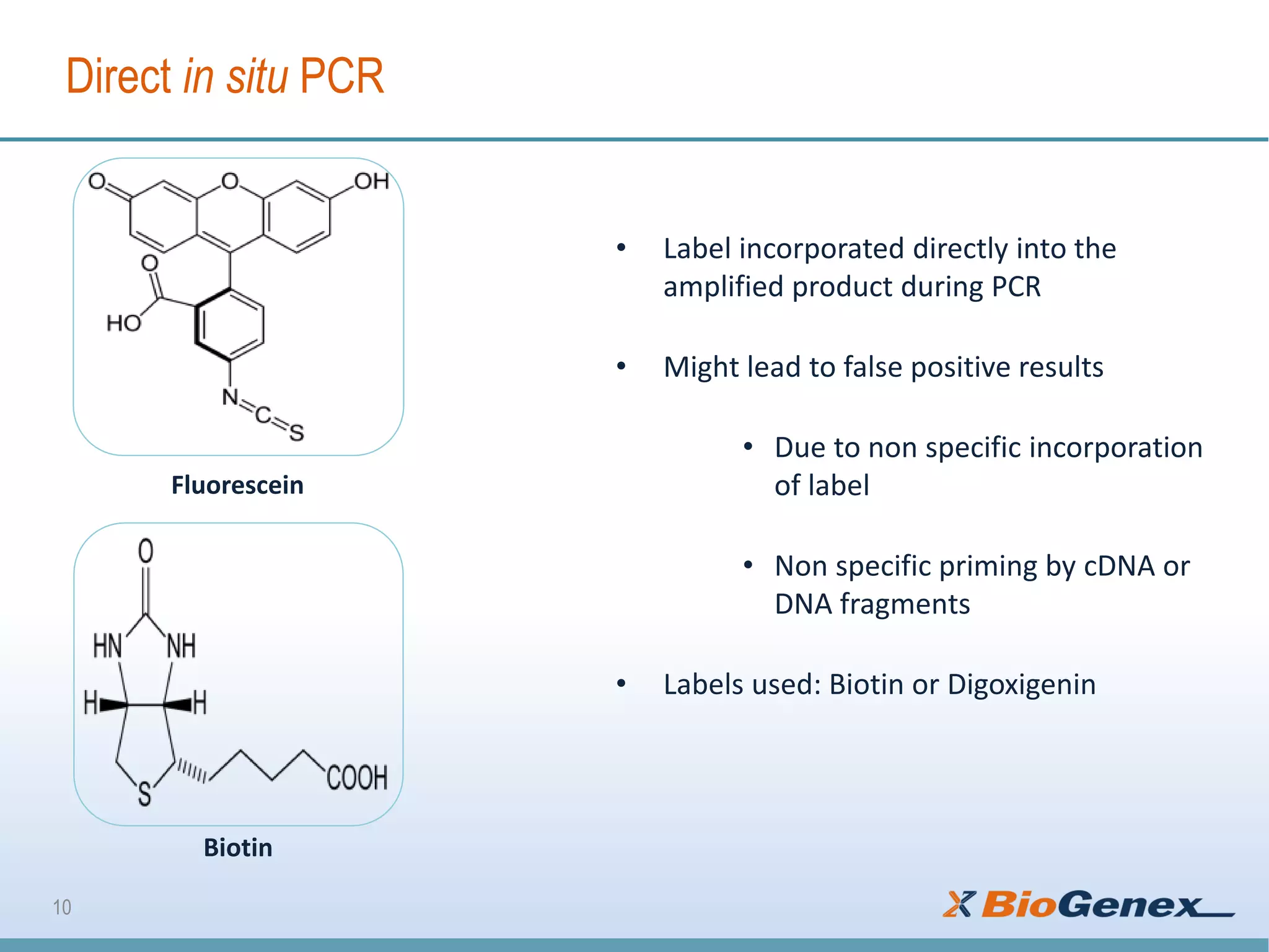 Introduction to In situ pcr | PDF | Genetics | Science