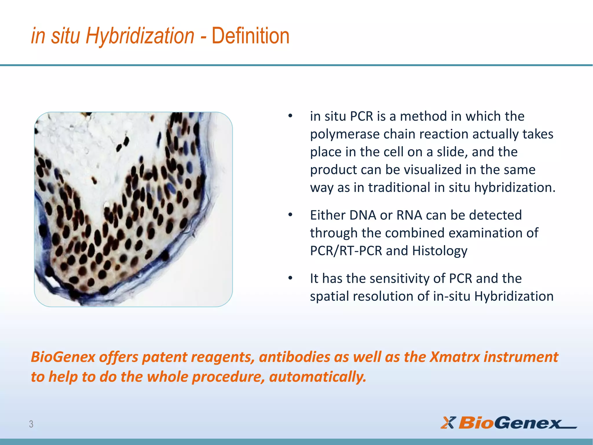 Introduction to In situ pcr | PDF