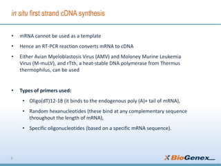 Introduction to In situ pcr | PDF | Genetics | Science