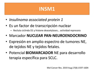 INSM1: VENTAJAS Y USOS DEL NUEVO MARCADOR NEUROENDOCRINO DE ...