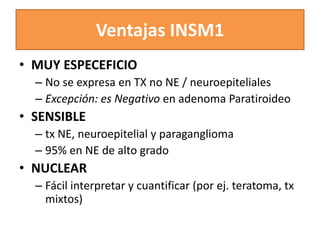 INSM1: VENTAJAS Y USOS DEL NUEVO MARCADOR NEUROENDOCRINO DE ...
