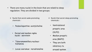 Neurobiological basis Insomnia | PPTX | Sleep Disorders | Diseases and ...
