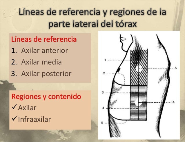 Inspección de tórax