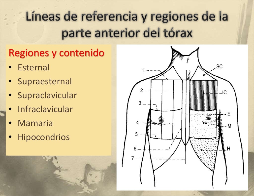 Inspección de tórax