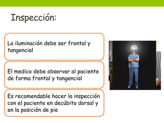 Inspeccion del abdomen | PPTX