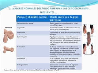 Inspeccion del Sistema Cardiovascular | PPT