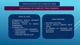 Inspeccion de torax | PPTX