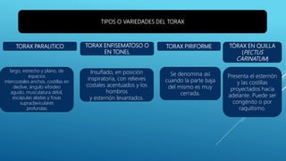 Inspeccion de torax | PPTX