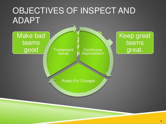 Inspect and adapt