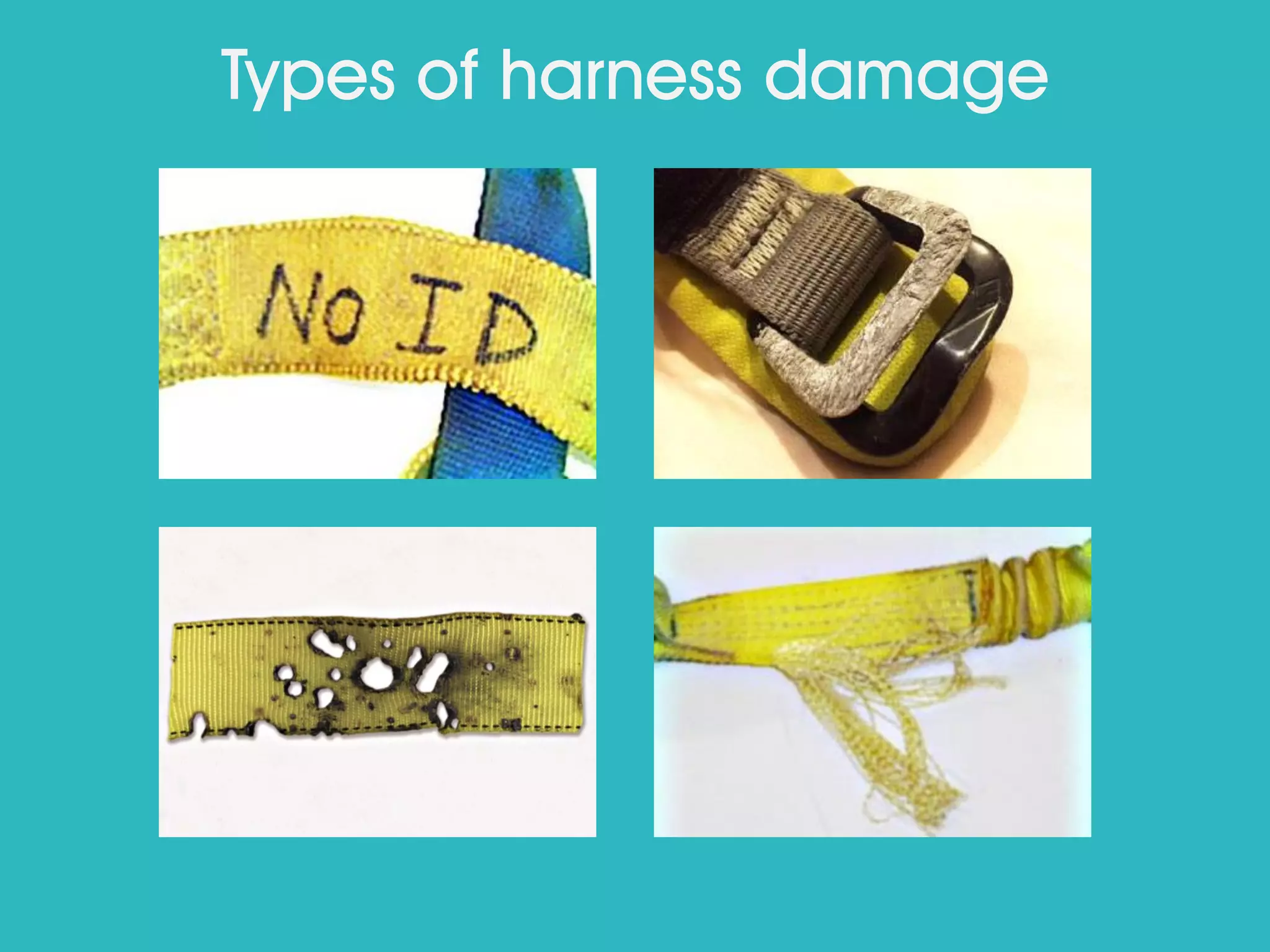 Inspecting a Safety Harness – MRS Training & Rescue | PDF