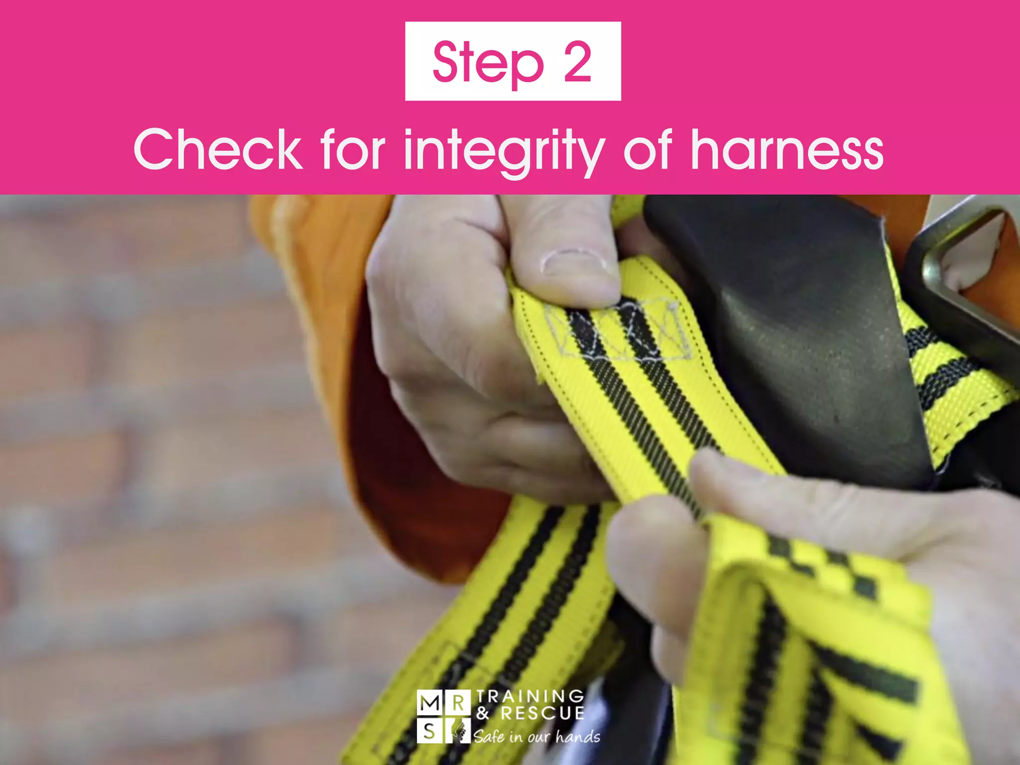 Inspecting a Safety Harness – MRS Training & Rescue | PDF
