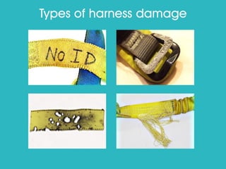 Inspecting a Safety Harness – MRS Training & Rescue | PDF