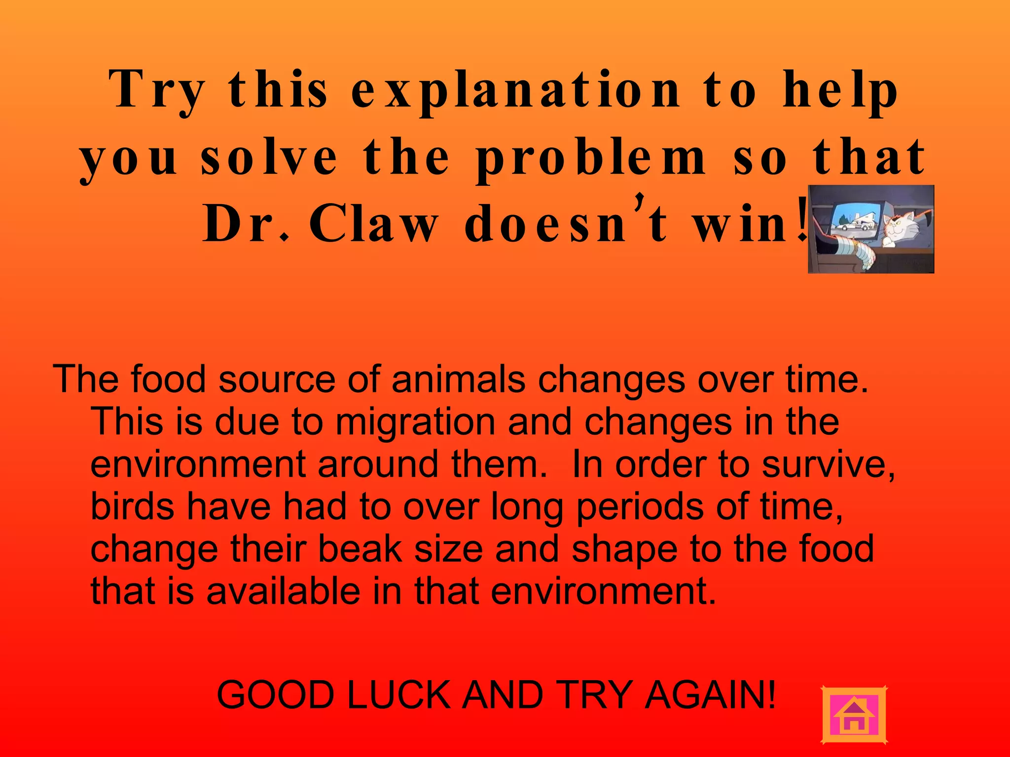 Animals Jeopardy Game | PPT