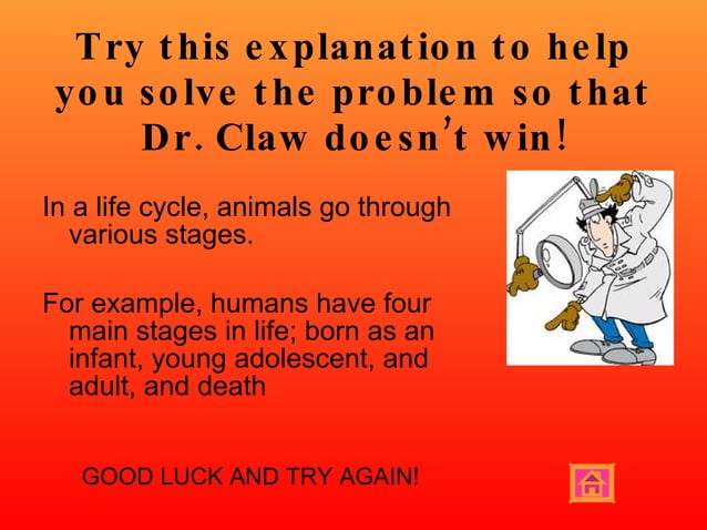 Animals Jeopardy Game | PPT
