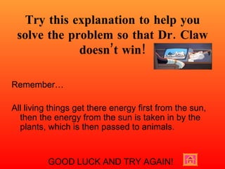 Animals Jeopardy Game | PPS
