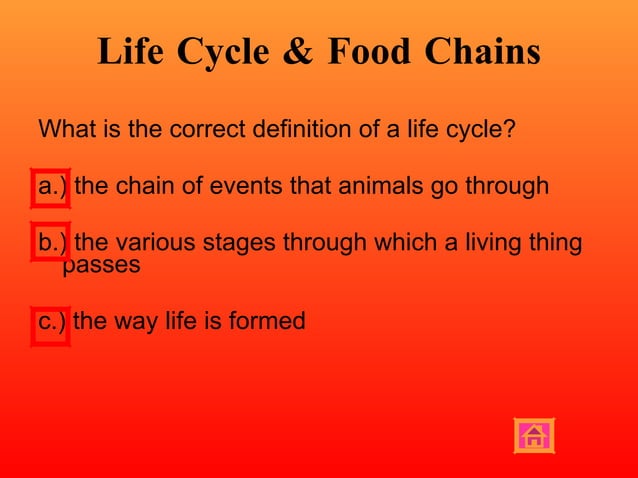 Animals Jeopardy Game | PPT