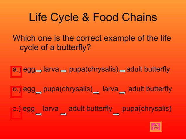 Animals Jeopardy Game | PPT