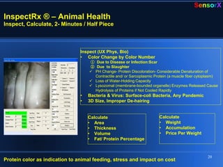 InspectRx® Vision Tech - Effective Micron Measurement | PPT