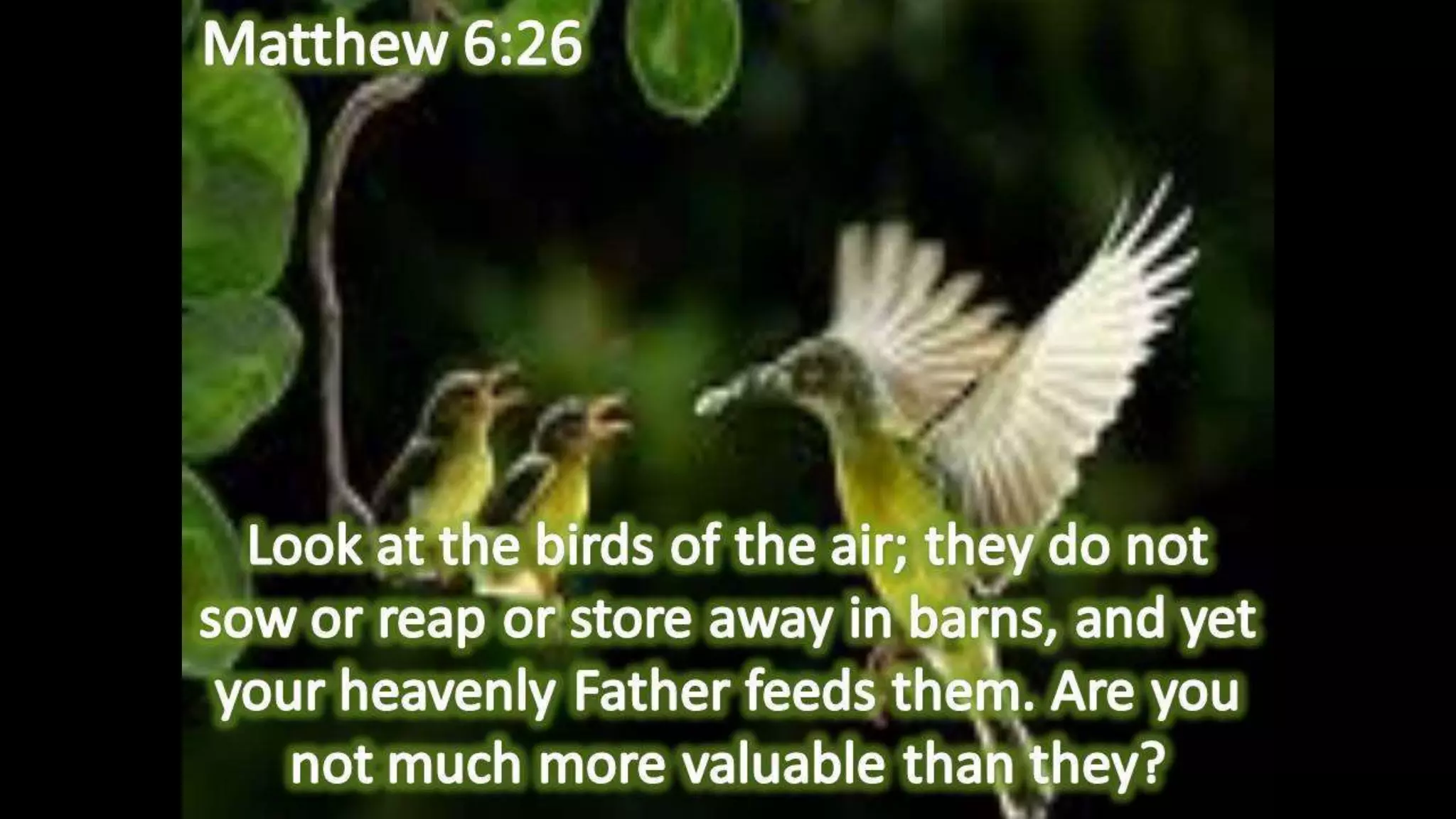 Inspirational bible verses 1 | PPTX | Poetry | Books and Literature