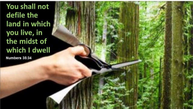 Inspirational bible verses 5 | PPT