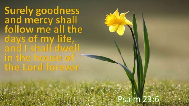 Inspirational bible verses 5 | PPT