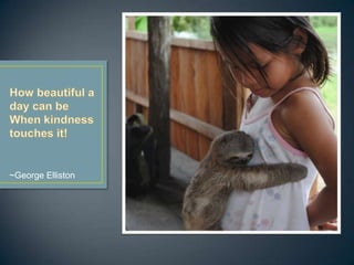 Inspirational powerpoint | PPT