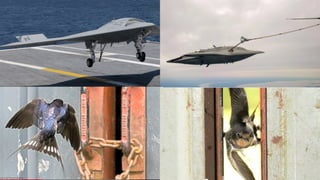 Trender, inspirationer och visioner - Mikael Haglund #ibmbpsse18 | PPT