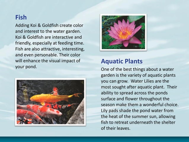 6 Types of Water Features | PDF