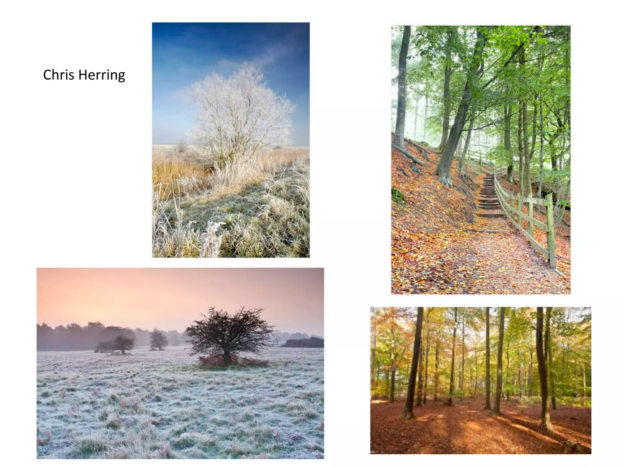 Inspirations for my final major project | PPTX