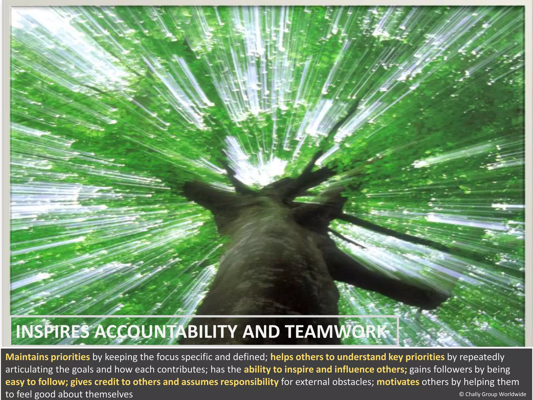 Competency Snapshot: Inspires Accountability and Teamwork | PPTX