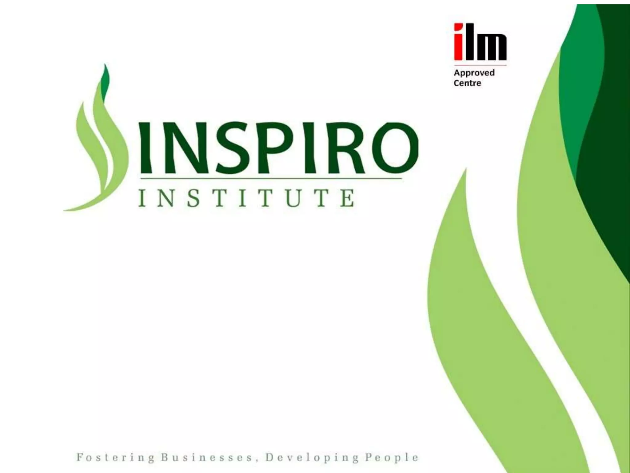 Inspiro Institute Executive Development Workshop Developing A Business ...