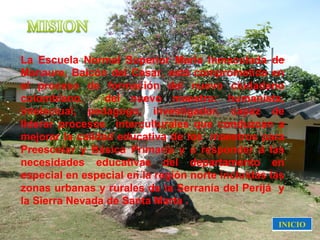 Inst Maria Inmaculada | PPT